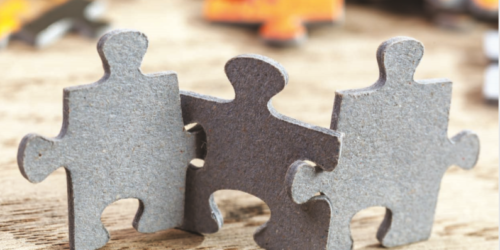 Working together: building effective multi-agency partnerships - The ...